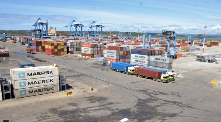 Kenya : le gouvernement concède neufs terminaux portuaires - Ports et ...